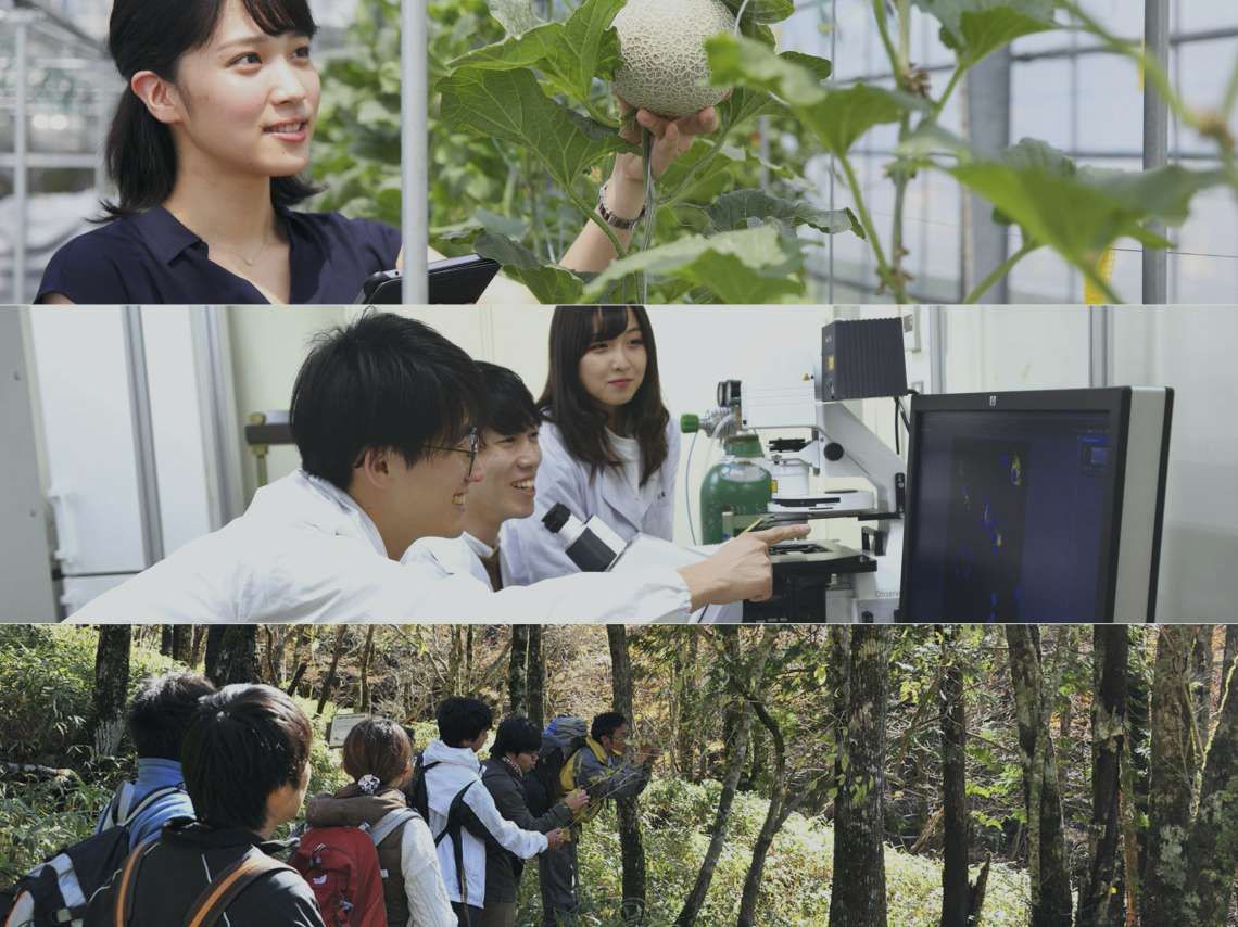 Undergraduate | School of Agriculture, Graduate School of Agriculture ...