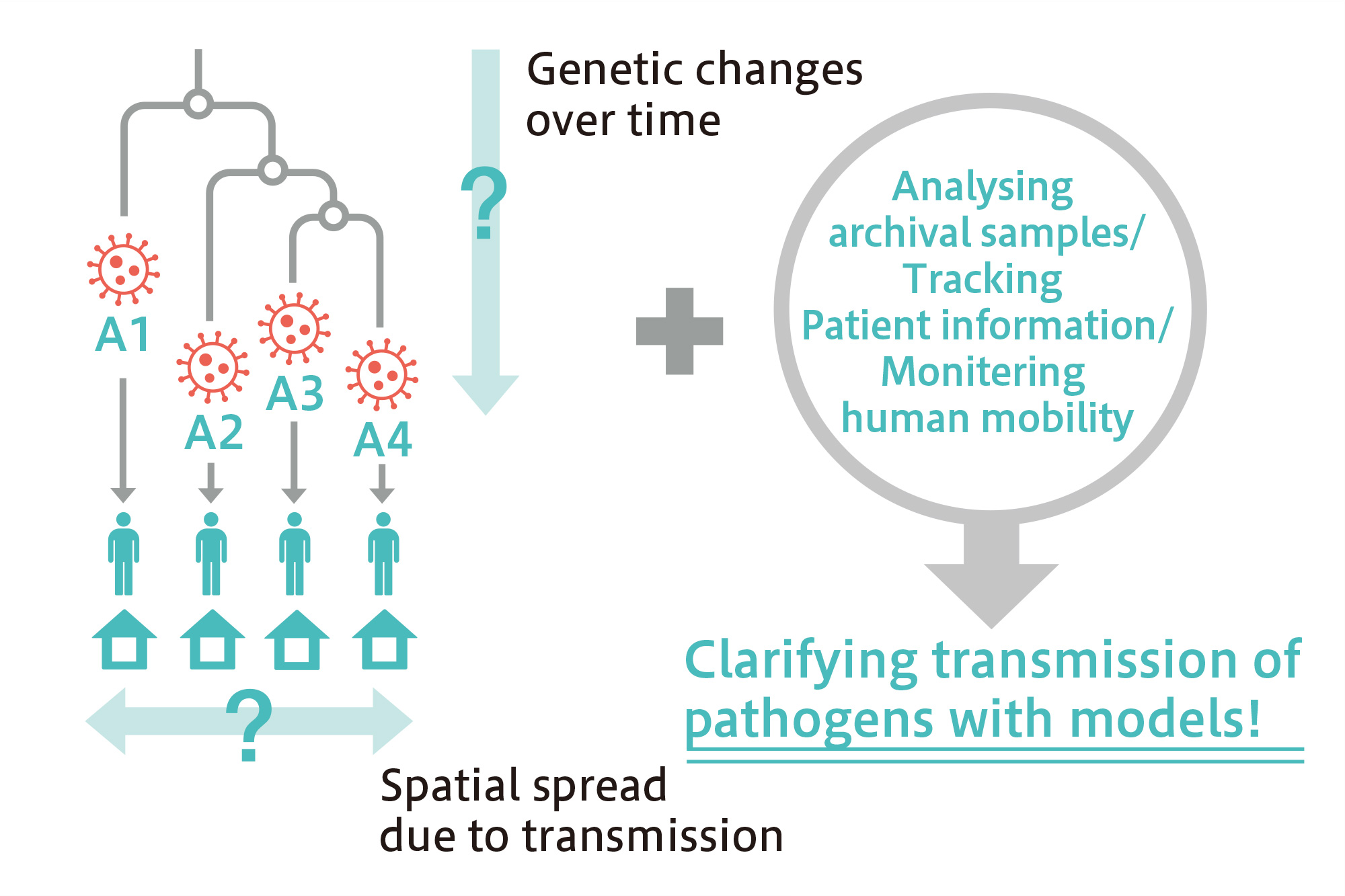 Department of Emerging and Re-emerging Infectious Diseases | Research ...